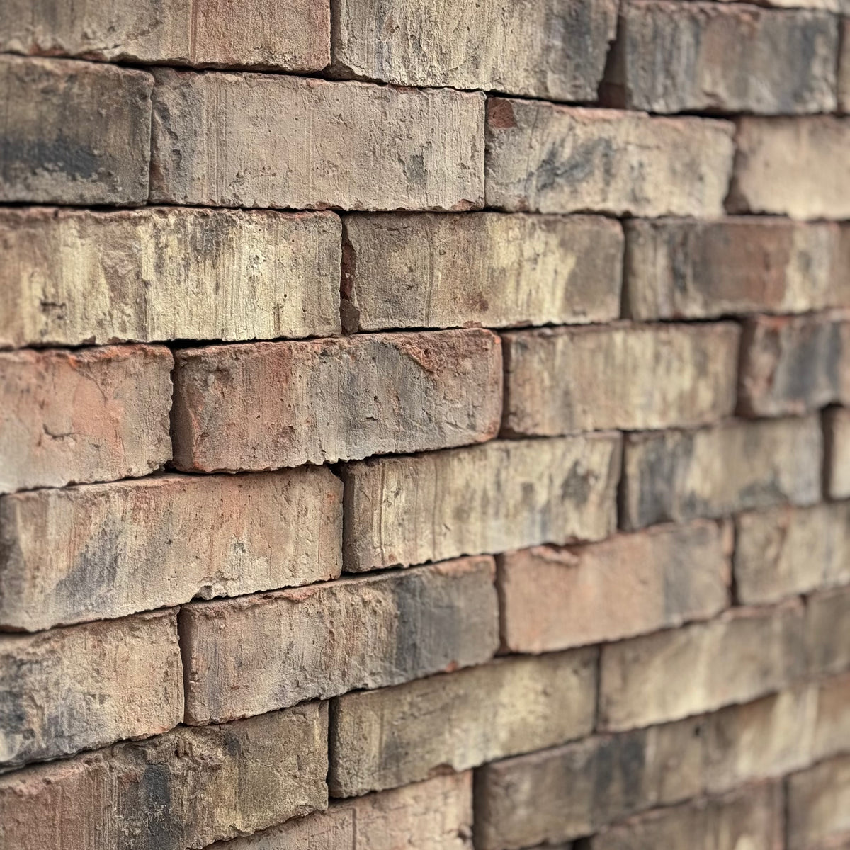 Oxford Clamps – Burgess Reclamation